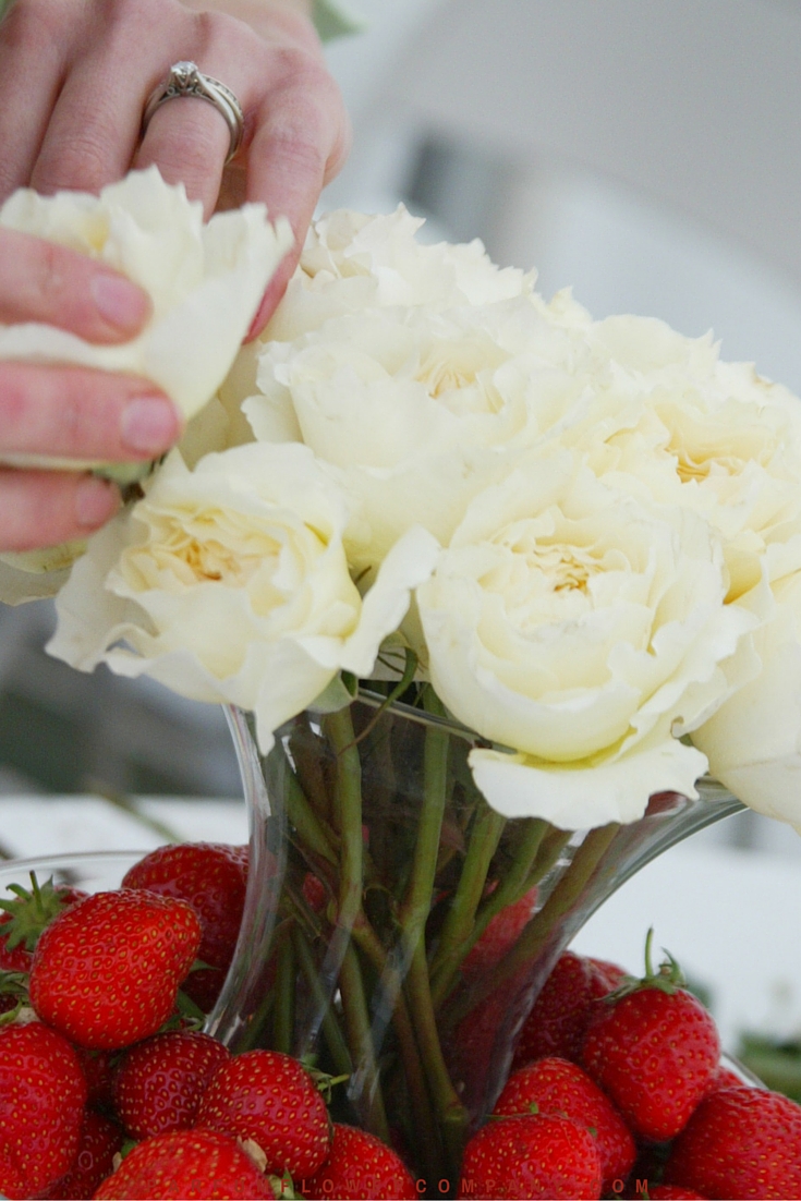 David Austin Wedding Rose Patience - Parfum Flower Company