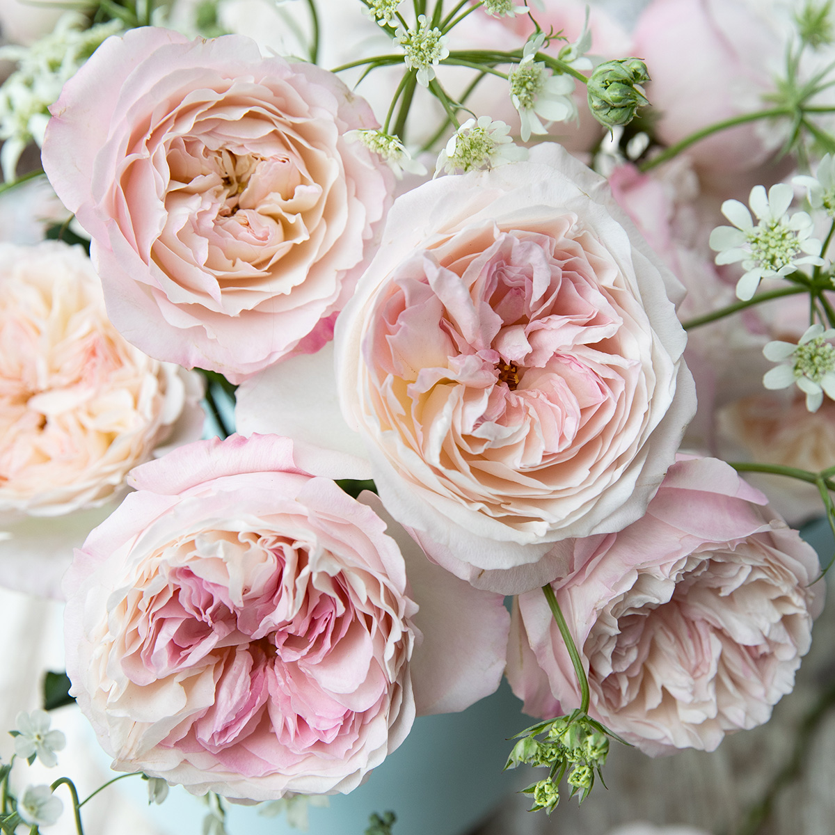 Keira - Parfum Flower Company